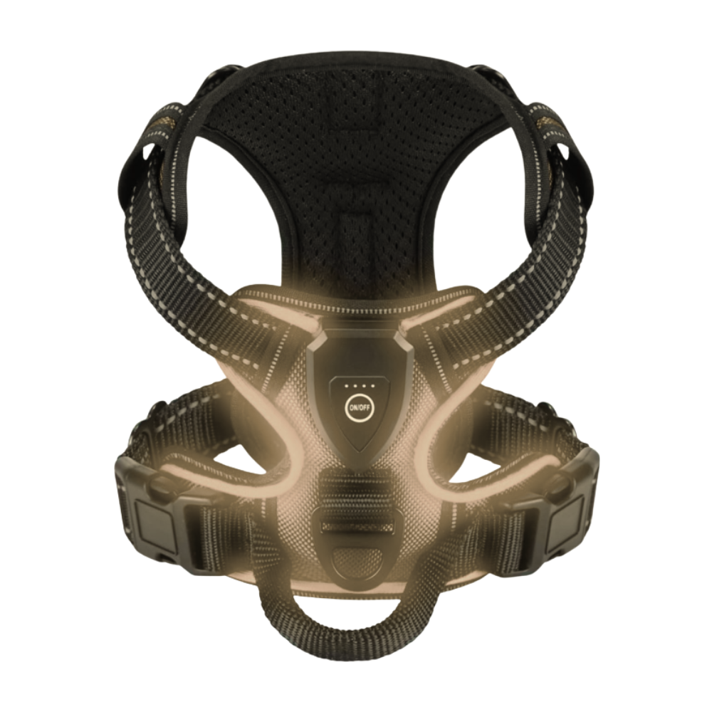 Light up dog harness | Rechargeable dog collars | Glow in the dark dog ...